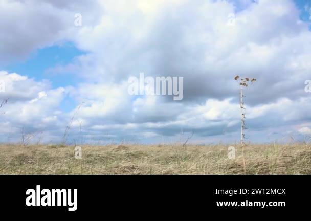 Dynamic weather Stock Videos & Footage - HD and 4K Video Clips - Alamy
