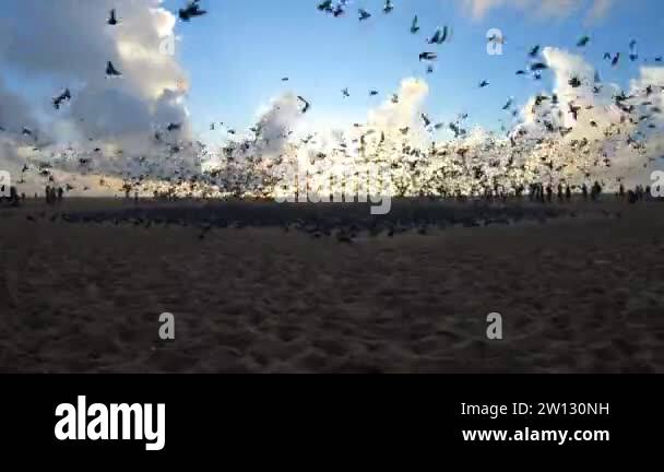 Chennai India marina beach GoPro hero 7 black 4K 60fps cinematic ...