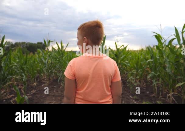 Boy ginger red hair Stock Videos & Footage - HD and 4K Video Clips - Alamy