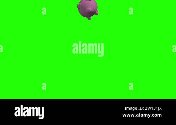 Green screen money Stock Videos & Footage - HD and 4K Video Clips - Alamy