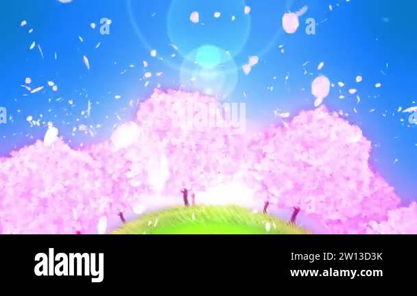 Cherry trees in full bloom on the hill. Cherry blossom circle ...