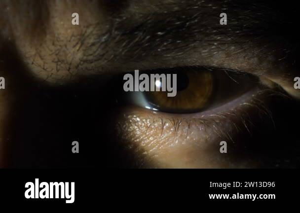 Portrait sad angry man Stock Videos & Footage - HD and 4K Video Clips ...