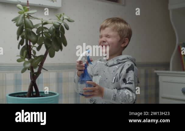 Baby boy playing while watering potted Crassula tree in slow motion ...