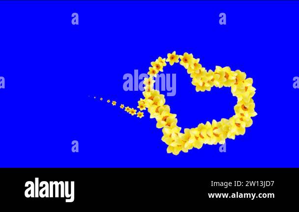 Hearts footage with chroma key. Footage for wedding video. Video ...