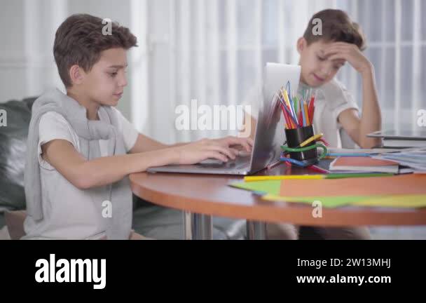Portrait of young Caucasian boy using laptop as his twin brother ...