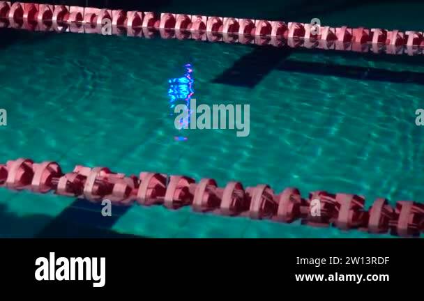 Male swimmer jumps off starting block and start swims in pool ...