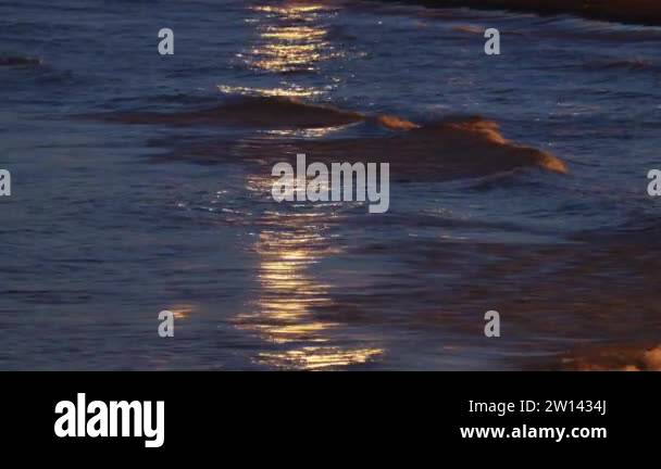 Beautiful golden moonbeam sparkling on the sea surface in the night ...