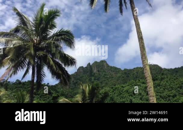 Cook island Stock Videos & Footage - HD and 4K Video Clips - Alamy