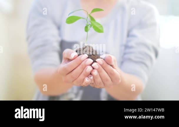 Hands human hands Stock Videos & Footage - HD and 4K Video Clips - Alamy