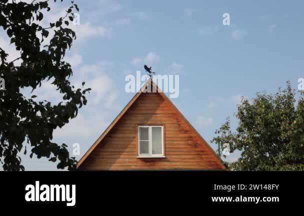 House of the eagle Stock Videos & Footage - HD and 4K Video Clips - Alamy