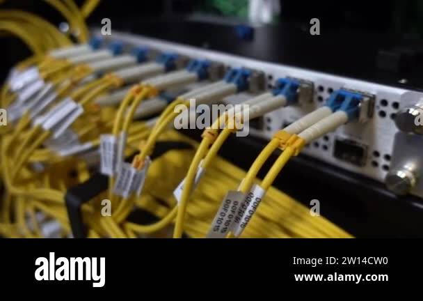 Fiber optic cable connected to switch in data center, close-up Internet ...