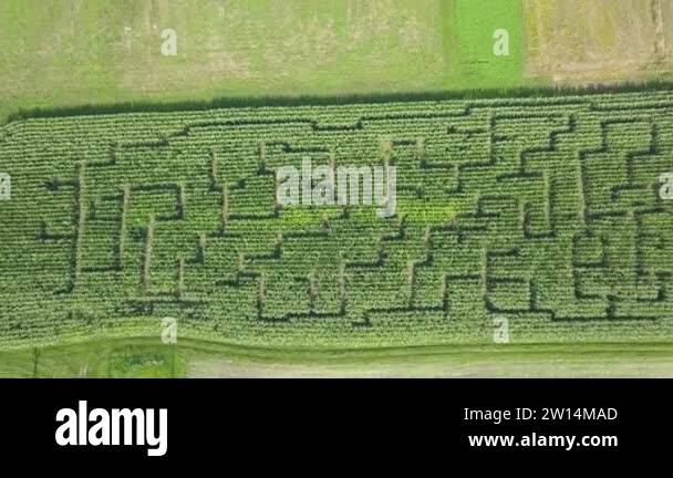 Raised patterns Stock Videos & Footage - HD and 4K Video Clips - Alamy