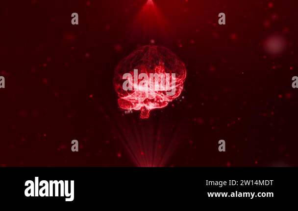 Model of the human brain. Rotates 360 degrees. 3D rendering. Animated ...