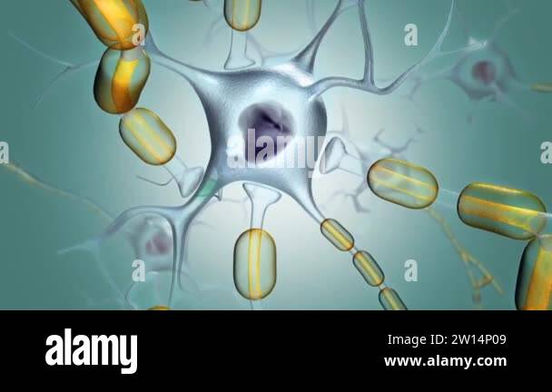 The creation of a brain signal and sodium ions in neurons Stock Video ...