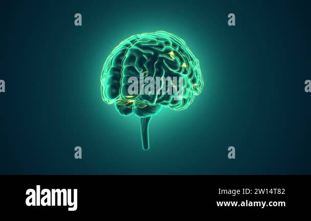 animation of rotation human brain with neuronal impulses inside on ...