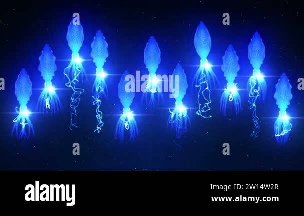 Squid illuminated with color light in the underwater. Fluorescent color ...