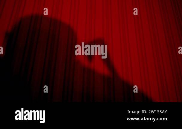 A man kills his victim with an ax. Murder. Shadow of the criminal on ...