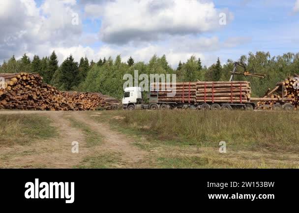 Russia timber Stock Videos & Footage - HD and 4K Video Clips - Alamy