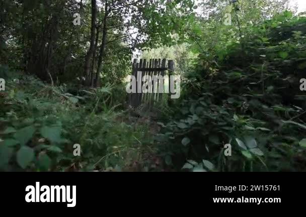 Gate to the bush Stock Videos & Footage - HD and 4K Video Clips - Alamy