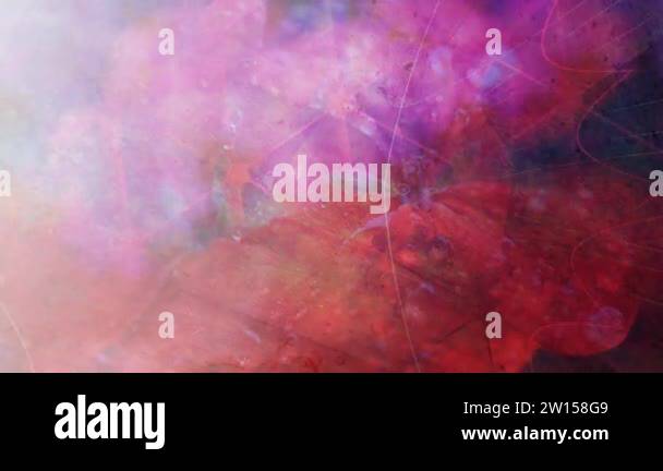 Simple Blurred Pink Hallucinogenic Dreamy Texture - 4K Seamless Loop ...