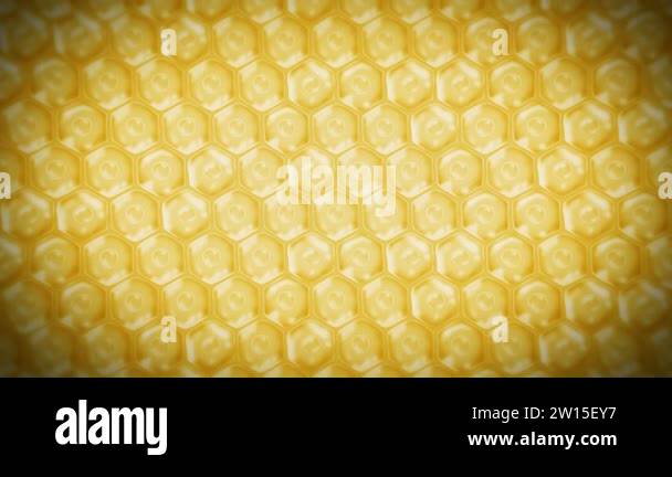 Human skin cells. Each cell with membrane. Cellular therapy. Disease ...