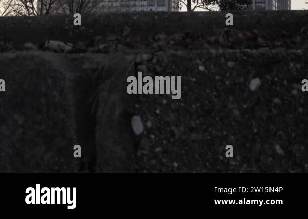 Horizontal ledge Stock Videos & Footage - HD and 4K Video Clips - Alamy