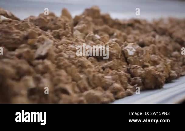 Machines working and conveyor line transporting sand. Conveyor belt on ...