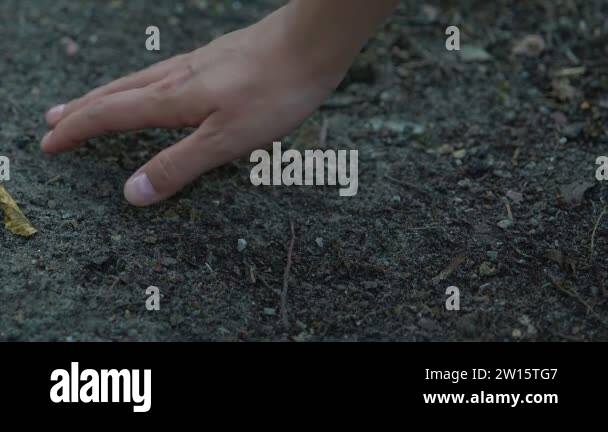 Soil depletion Stock Videos & Footage - HD and 4K Video Clips - Alamy
