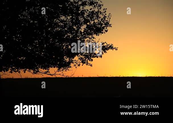 Rural suset Stock Videos & Footage - HD and 4K Video Clips - Alamy