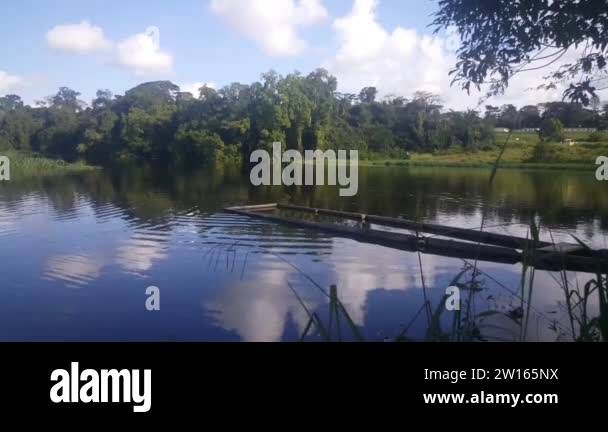 Cameroon border Stock Videos & Footage - HD and 4K Video Clips - Alamy