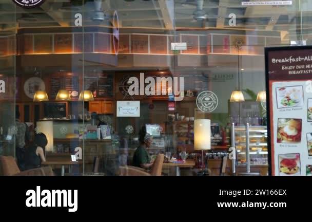 Coffee bean tea leaf Stock Videos & Footage - HD and 4K Video Clips - Alamy
