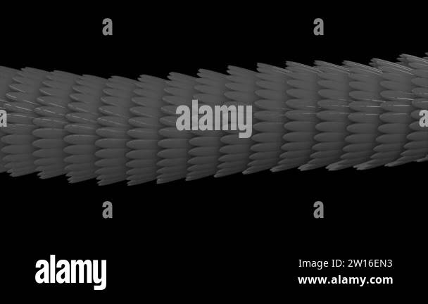 Sharp reptile scales close up Stock Videos & Footage - HD and 4K Video ...