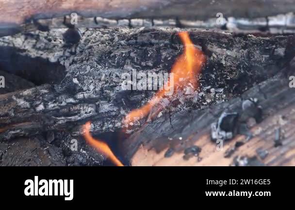 Campfire ready Stock Videos & Footage - HD and 4K Video Clips - Alamy