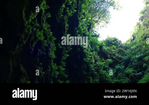 Cave in an extinct volcano on the island of Terceira Gruta do Algar do ...
