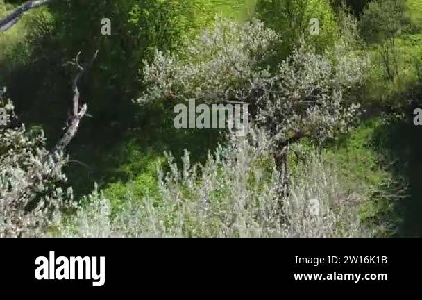 Amazing scenery of steppe river with mirror surface of pure water ...