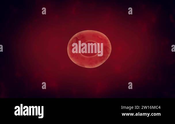 Cells divide under microscope. Mitosis process of cell division Stock ...