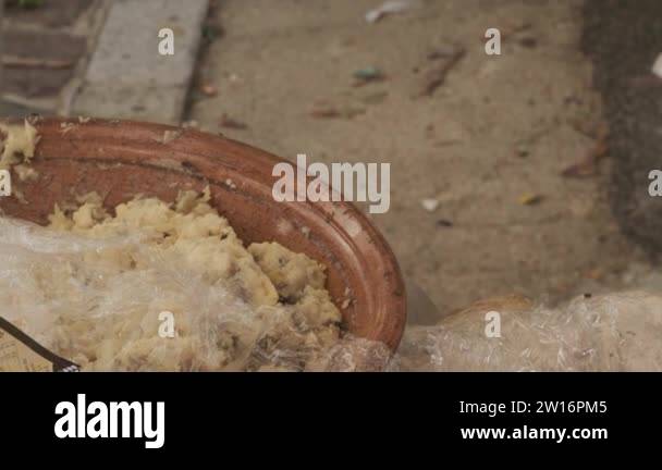 Traditional Sardinian cheese with worms. Casu Marzu, sardinian cheese ...