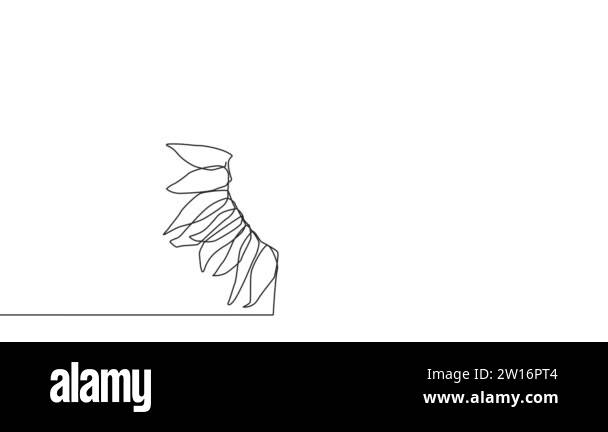 Minimalist drawing Stock Videos & Footage - HD and 4K Video Clips - Alamy