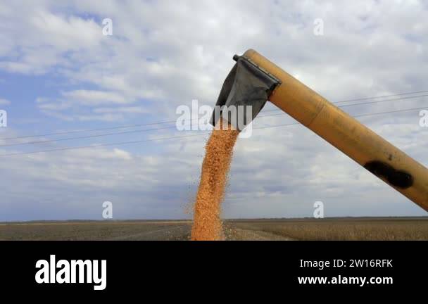 Combine harvester auger Stock Videos & Footage - HD and 4K Video Clips ...