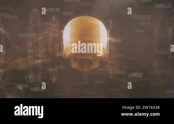 Virus human skull 3d Stock Videos & Footage - HD and 4K Video Clips - Alamy