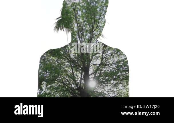 The tree of power the tree of joy Stock Videos & Footage - HD and 4K ...