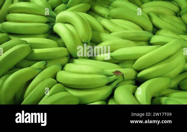Banana shipping boxes Stock Videos & Footage - HD and 4K Video Clips ...