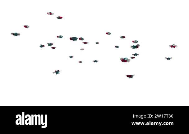 Swarm of Flies. 3D animation in cartoon style, loopable Stock Video ...