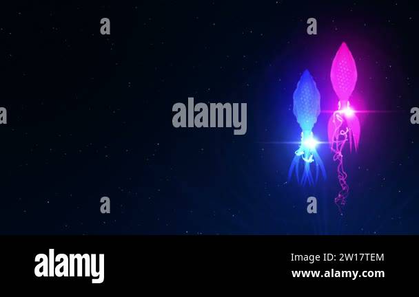 Squid illuminated with color light in the underwater. Fluorescent color ...