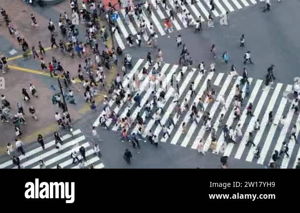 Shibuya, Tokyo, Japan - Aerial view of pedestrians walk at Shibuya ...