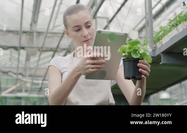 Flower identification Stock Videos & Footage - HD and 4K Video Clips ...