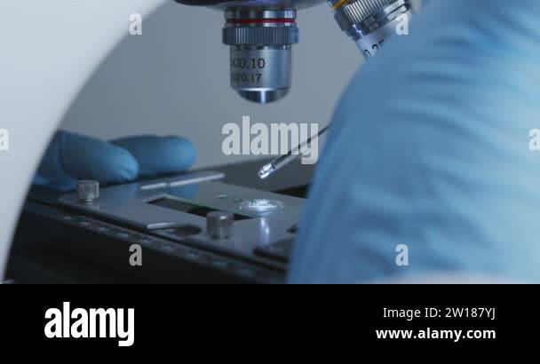 Technician drips a solution from pipette on the glass slide for further ...