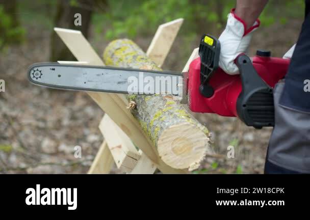 Cutting tree to logs Stock Videos & Footage - HD and 4K Video Clips - Alamy
