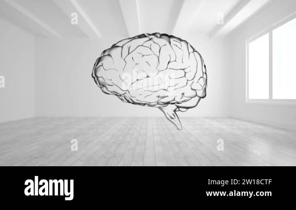 Animation of the black outline of a transparent human brain turning in ...