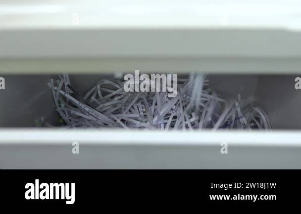 Cut paper falls into the container. Shredder destroys paper close-up ...